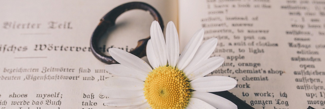 Adjectifs vieux-vieil, beau-bel, nouveau-nouvel